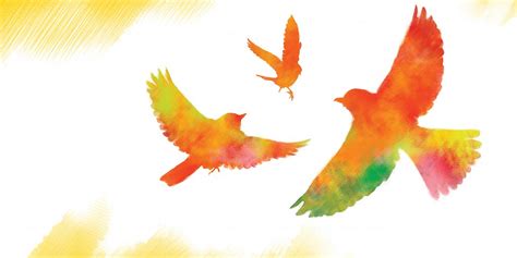 Consent Tea Party University Of Calgary