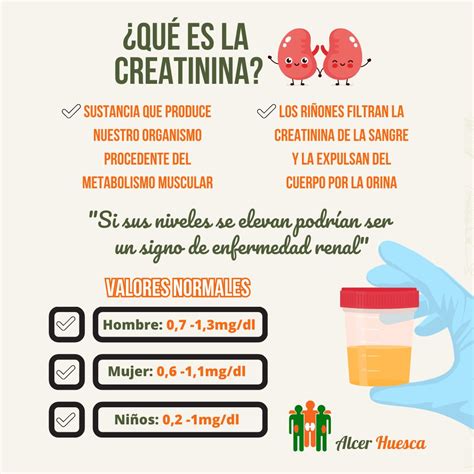 Valores Normales De Creatinina En Sangre Deep Discounts
