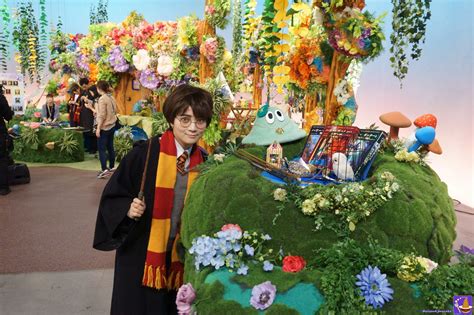 Nhkテレビ 【ハリポタ沼】2018年11月6日 Nhk渋谷スタジオ収録編レポート 若き高校生と大学生のポッタリアン登場♪ 魔法界