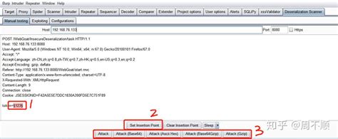 Webgoat 反序列化漏洞利用 Java Deserialization Scanner使用 知乎