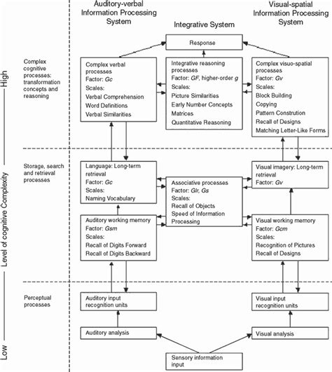 Partially Hierarchical Information Processing Model Indicating Download Scientific Diagram