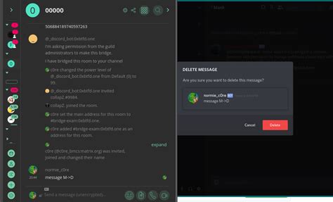 Deletion Of Bridged Md Message Through Discord Kills Dm Bridging