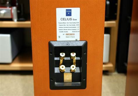 Triangle Celius Esw Audiocostruzioni Vendita Online Hi Fi Amplificatori Diffusori Giradischi