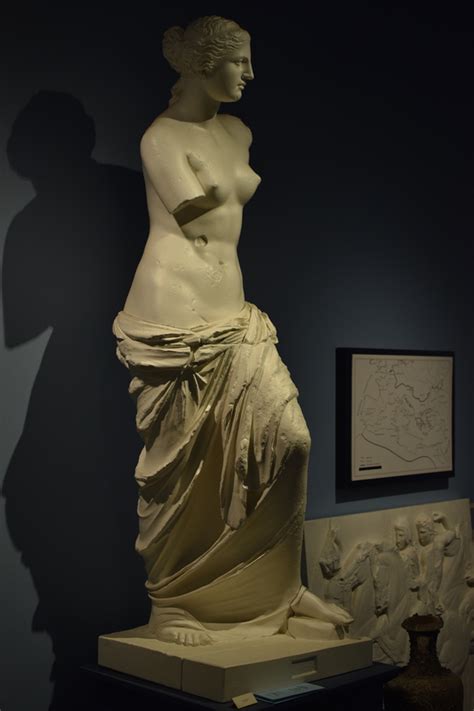 Venus De Milo Wilcox Classical Museum