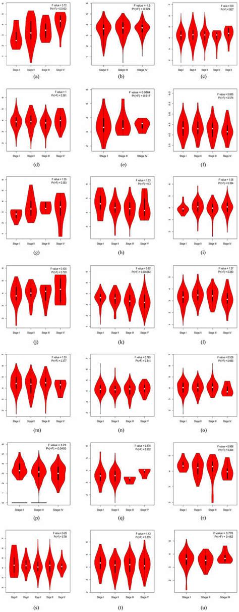 SLC31A1 Identifying A Novel Biomarker With Potential Prognostic And