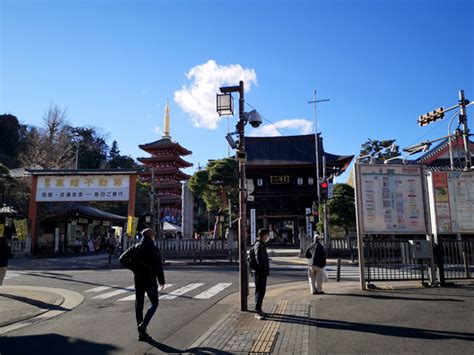 高幡不動ござれ市高幡不動境内 食と酒と本と街と
