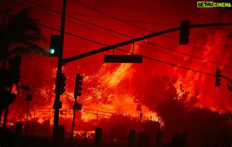 Adassa Wiki Biography Age Gallery Spouse And More