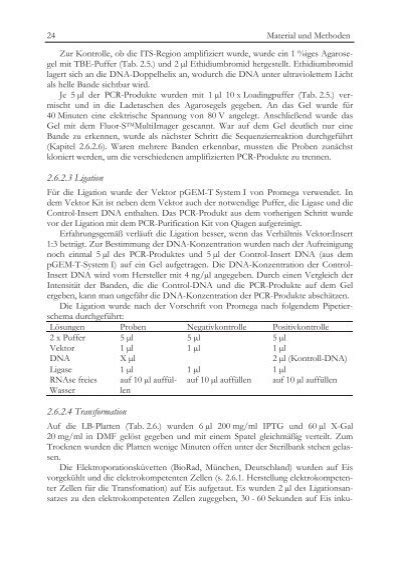 24 Material Und Methoden