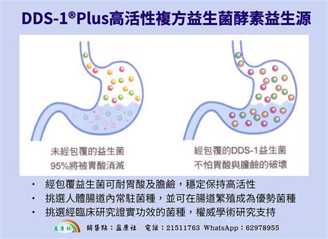 Dds 1®plus高活性複方益生菌3合1國際專利認証獨特配方