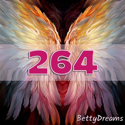 264 Angel Number: Surprising & Powerful Meanings | BettyDreams