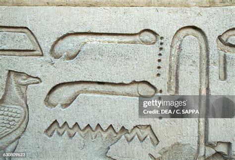 Hieroglyphic Bird Photos And Premium High Res Pictures Getty Images