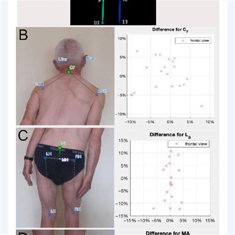 Set Of Key Points Extrapolated From The Standard Human Pose Estimation Download Scientific