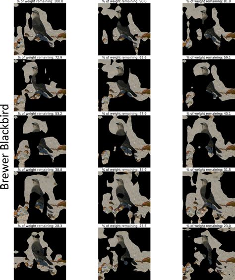 Figure 5 From Exploring The Lottery Ticket Hypothesis With