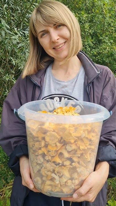 ГРИБЫ ЛИСИЧКИ они кругом Айда с нами за грибами в лес Shorts Youtube