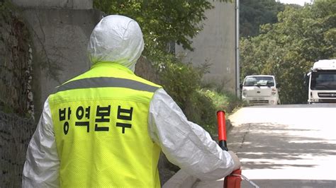 화천 양돈농장서 Asf 발생강원 전역 추가 발생 엄중한 상황
