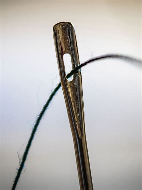 Underprotection Lingerie Swimwear Period Wear Loungewear And Hosiery