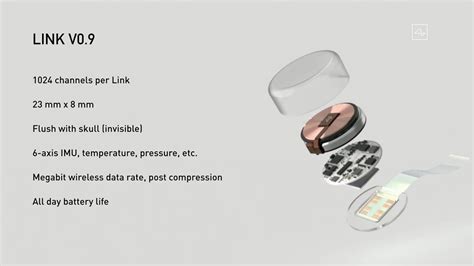 Neuralink Avances De Película Pero ¿incontrolables Peligros En La Fusión Cerebro Máquina