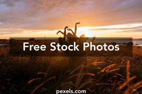 Dancing Bear Models Photos Download The Best Free Dancing Bear Models