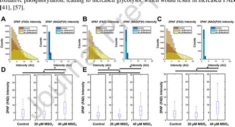 Figure 1 From Large Field Of View Metabolic Profiling Of Murine Brain Tissue Following Morphine
