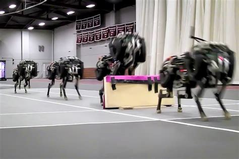 Mit Cheetah Robot Lands The Running Jump Mit News Massachusetts