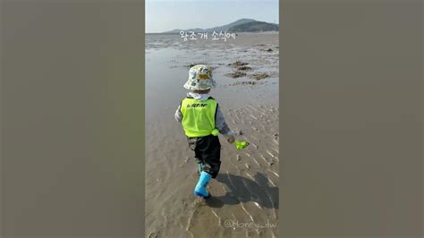 갯벌 2편 동생 군기 잡는 형아🐚영종도 갯벌조개잡이 체험 마시안해변 아들바보 육아일상 26개월아기 Youtube