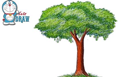 Mango Tree Drawing At GetDrawings Free Download
