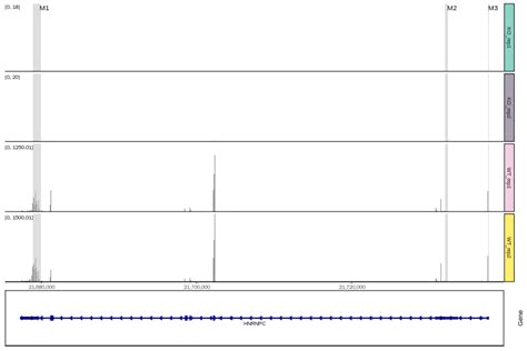 visualize genome protein coverage with various annotations ggcoverage