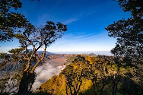 Premium Photo Amazing Mount Bromo Volcano During Sunny Sky From King