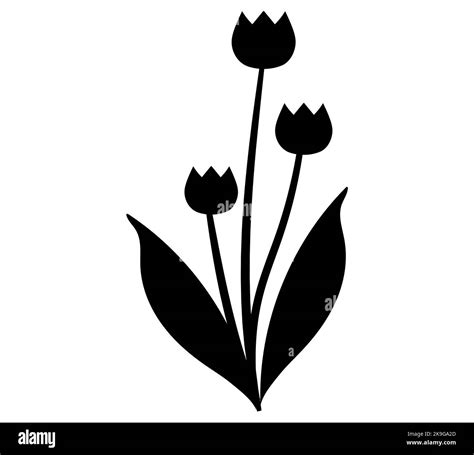 Tulipanes Vector De Tulipanes Icono Plano De Tulipán Día De La Mujer
