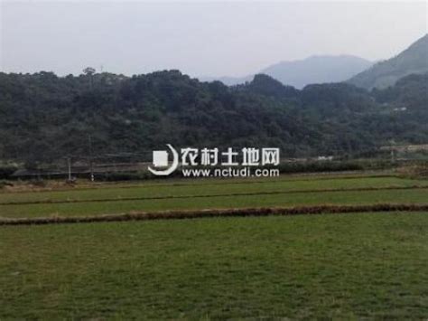 福建福州罗源县80亩草场转让 农村土地网