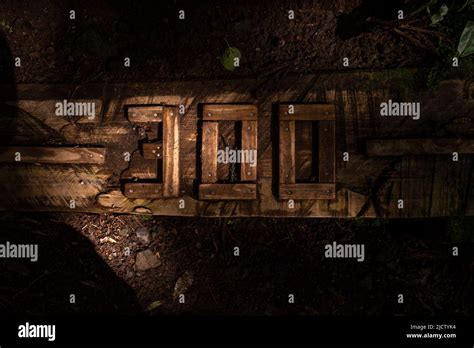 Wood Number One Hundred Letters No 100 In Wood In The Forest Ground Lit By Soft Sunlight