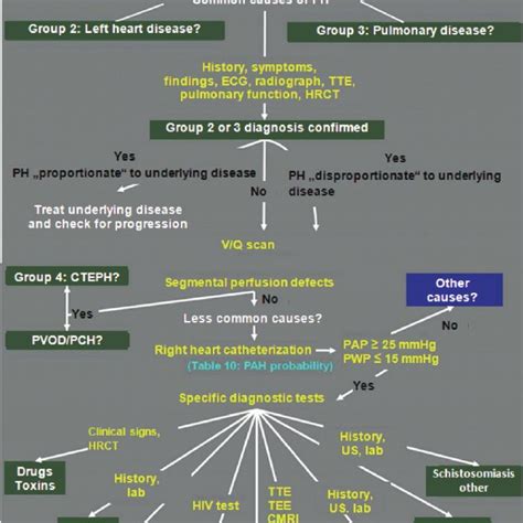 Diagnostic Algorithm Explanation Tte Transthoracic Echocardiography Download Scientific