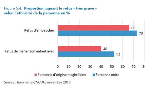 Une étude sur le racisme anti Noirs dans le rapport annuel de la CNCDH