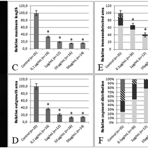 Neurite Outgrowth In Retinal Explants Is Inhibited With An Antibody To