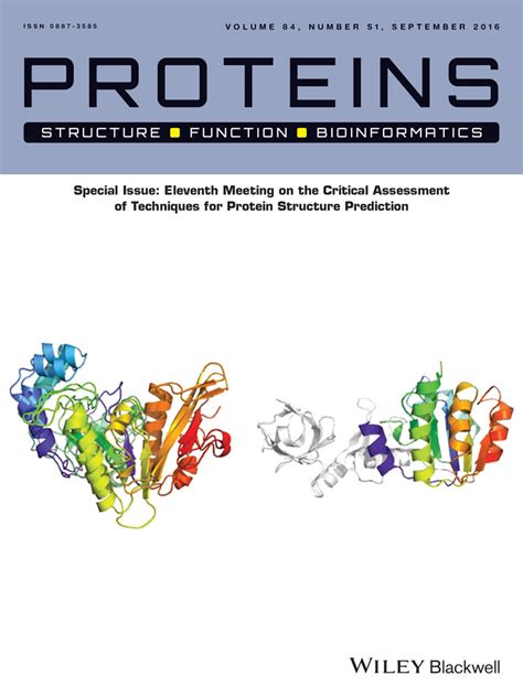Prediction Of Homoprotein And Heteroprotein Complexes By Protein