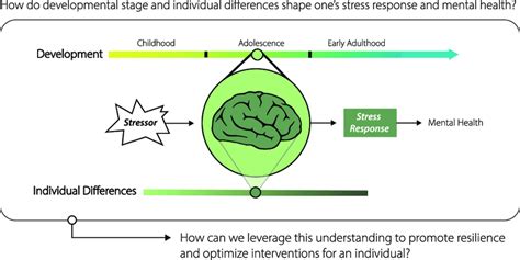 Framework For An Approach To Research That Considers Developmental