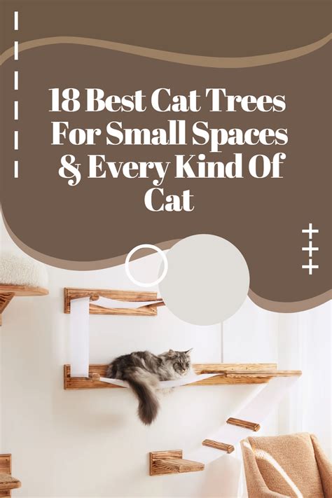18 Best Cat Trees For Small Spaces And Every Kind Of Cat Tiny Partments