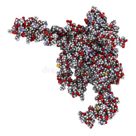 Integrin Alpha 4 Beta 7 A4b7 Headpiece Cell Surface Protein Complex That Plays A Role In