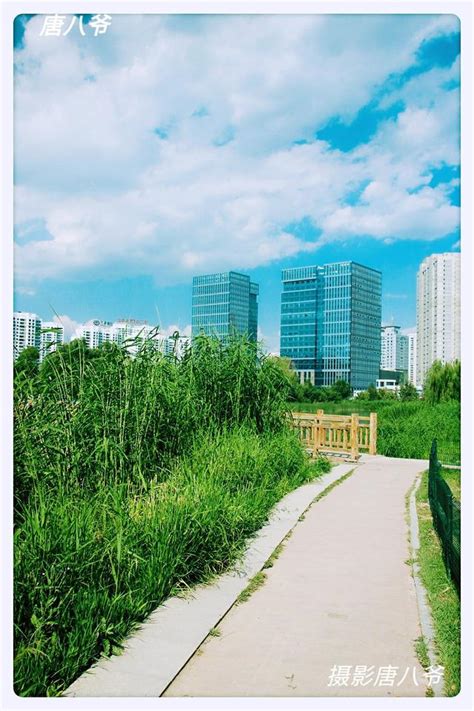 西寧海湖新區火燒溝景觀帶 每日頭條
