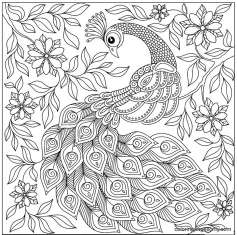 Pavo Real Dibujos Para Colorear Pavo Real Para Colorear Páginas Para Colorear Para Niños Y