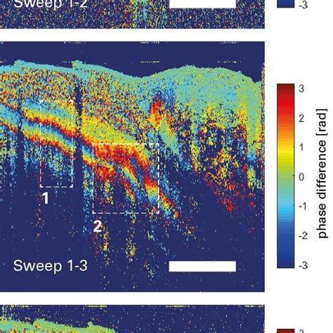 Fourier Domain Mode Locked Fdml Laser Setup With Function Generator Download Scientific