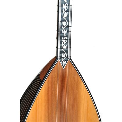 Saz 110bs Ar Uzun Sap Yaprak Saz Fiyatı Mydukkan