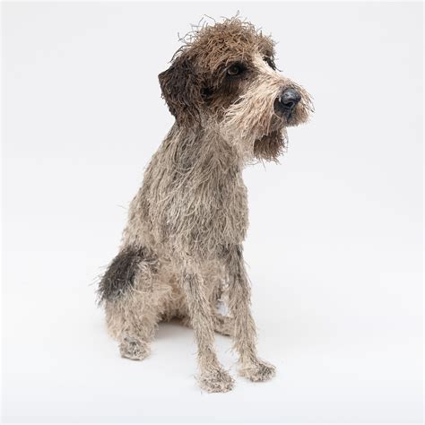 German Wild Haired Pointer Gemma Rees Morningside Gallery Edinburgh