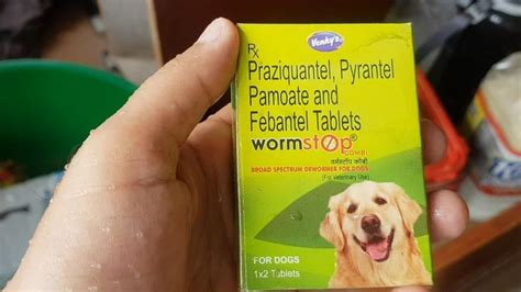 Worm Stop Tablet Packaging Type Bottle Packaging Size 10 Tablets At