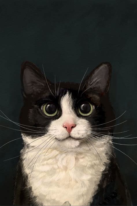 Tuxedo Cat Portrait In 2024 Cat Illustration Cat Portraits Cat