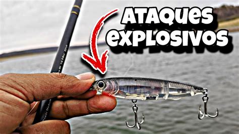 Encontramos Un Punto Lleno De LOBINAS Pesca Con Paseante En La Presa