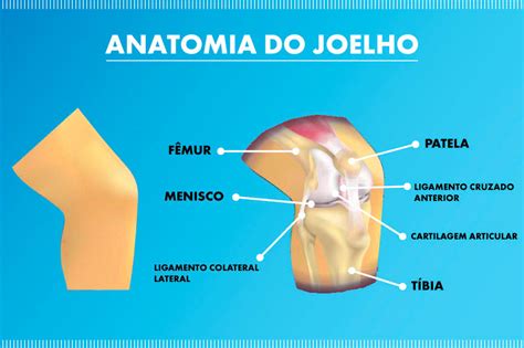 Dores Nos Joelhos Os Sintomas As Causas E Os Tratamentos