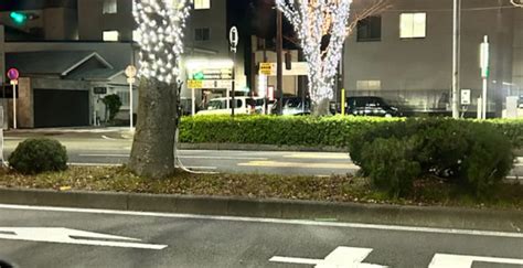 あと数日で終了！けやき大通りイルミネーション！｜和歌山県・和歌山市・加太の観光・レジャー