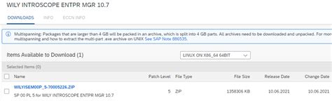 Willy Introscope Install Or Update To Version 1070323 Sap Basis World Willy Introscope Install Or Update To Version 1070323 Sap Basis World