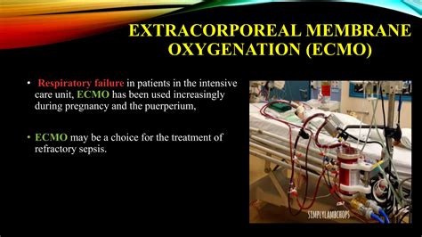 Obstetrics Sepsis Bundle Approachpptx